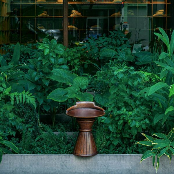 MASSAGE VIỆT - SNORM